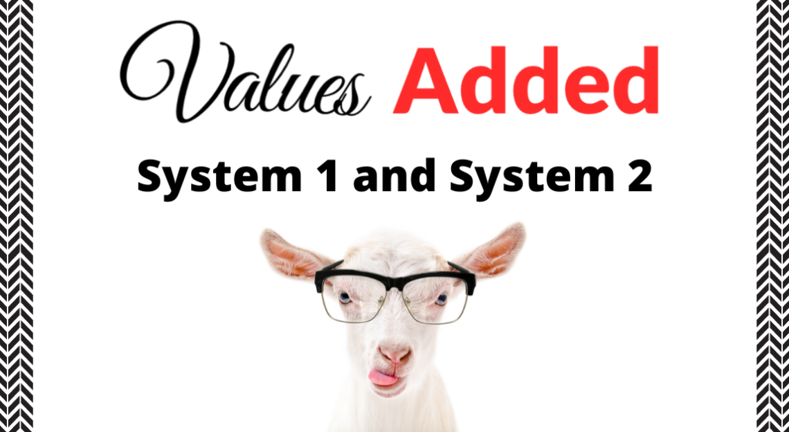 Toolbox: System 1 and System 2 Thinking - Values Added