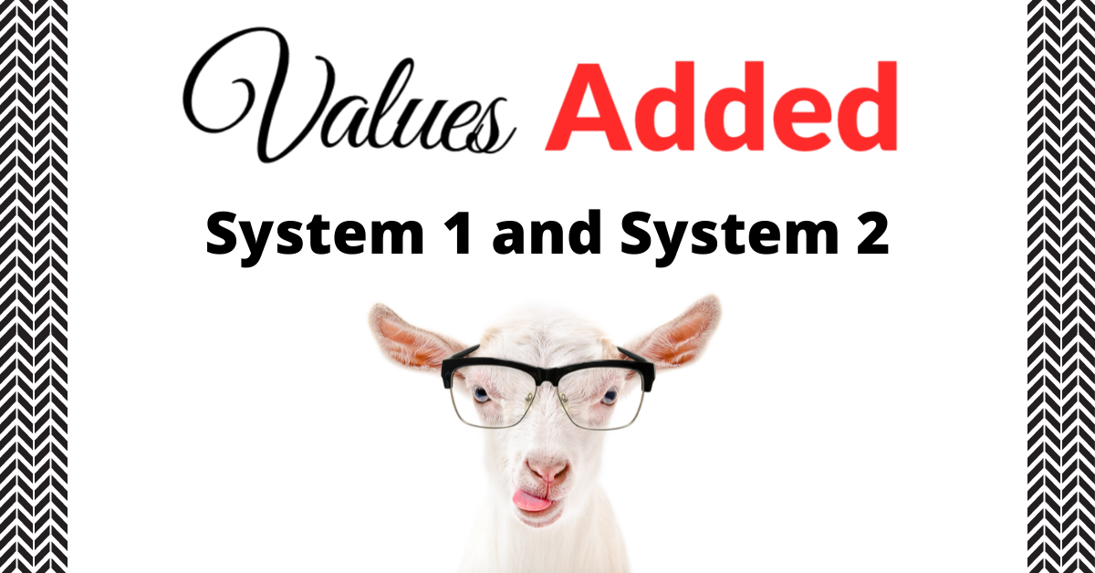 Toolbox: System 1 and System 2 Thinking - Values Added